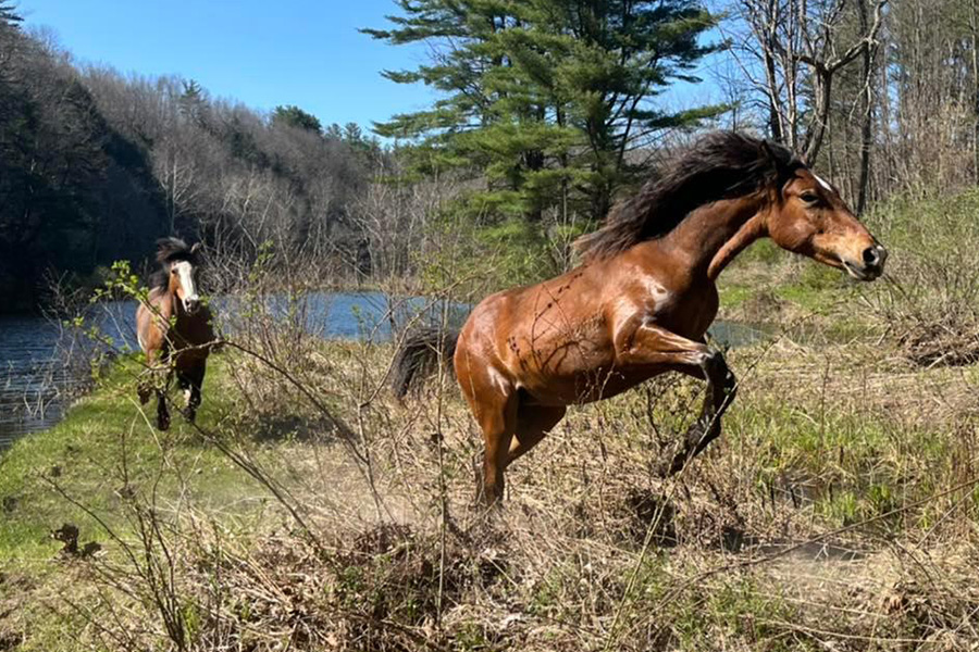 Introducing Baby Elena: a heartwarming tale of new life